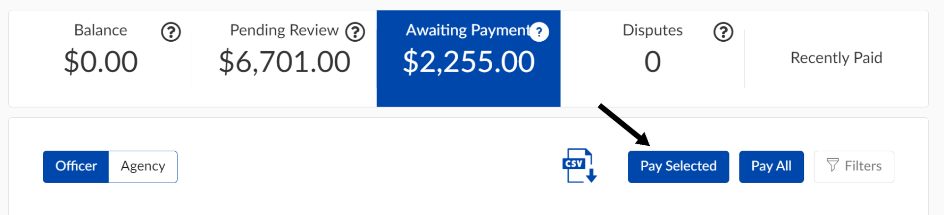 Pay Invoices in Your Client Portal